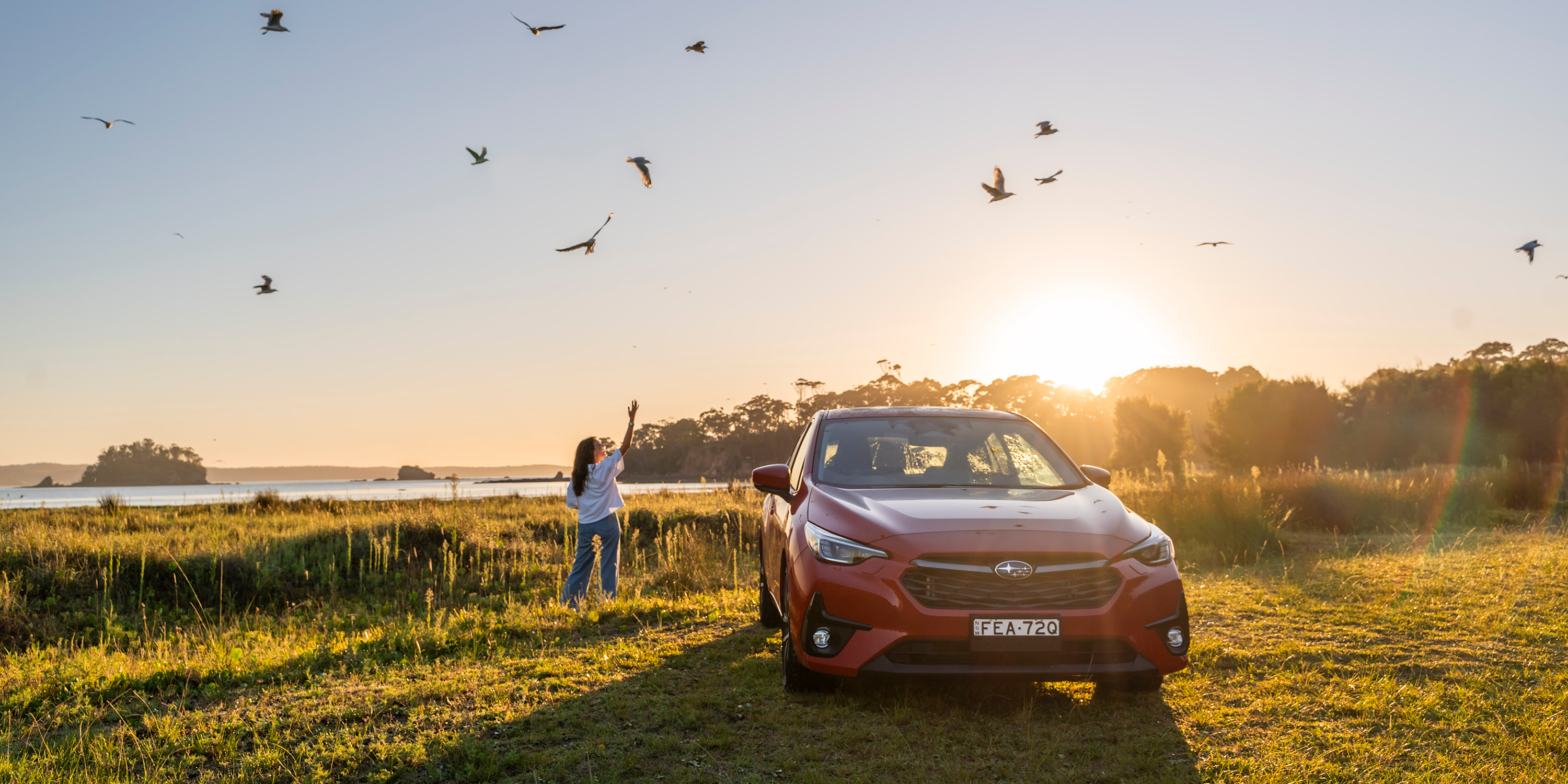 New & Used AWD Cars - For a world discovered | Subaru Australia